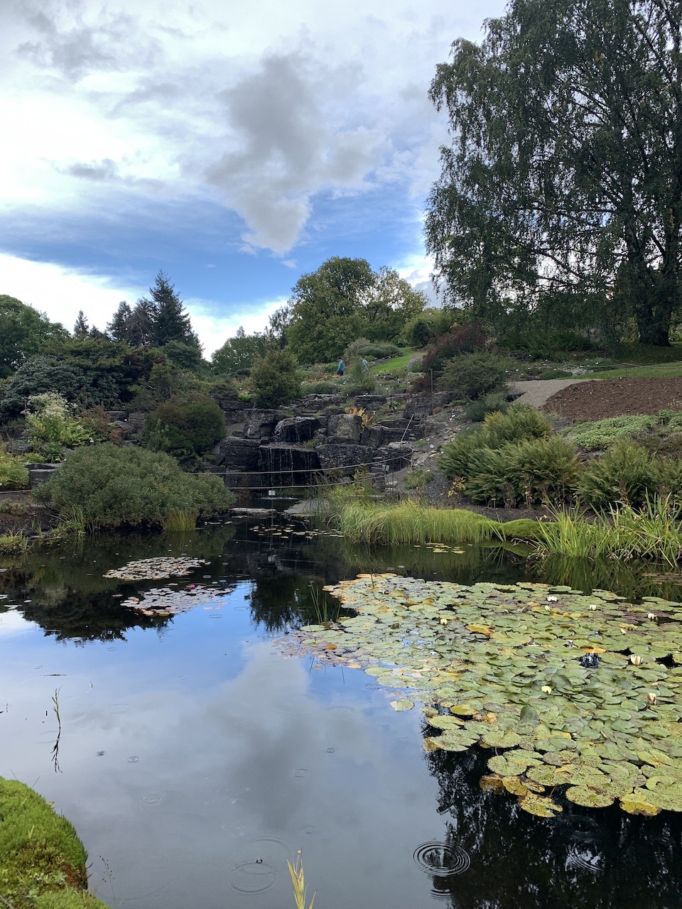 Oslo's Botanical Garden - beatravelling